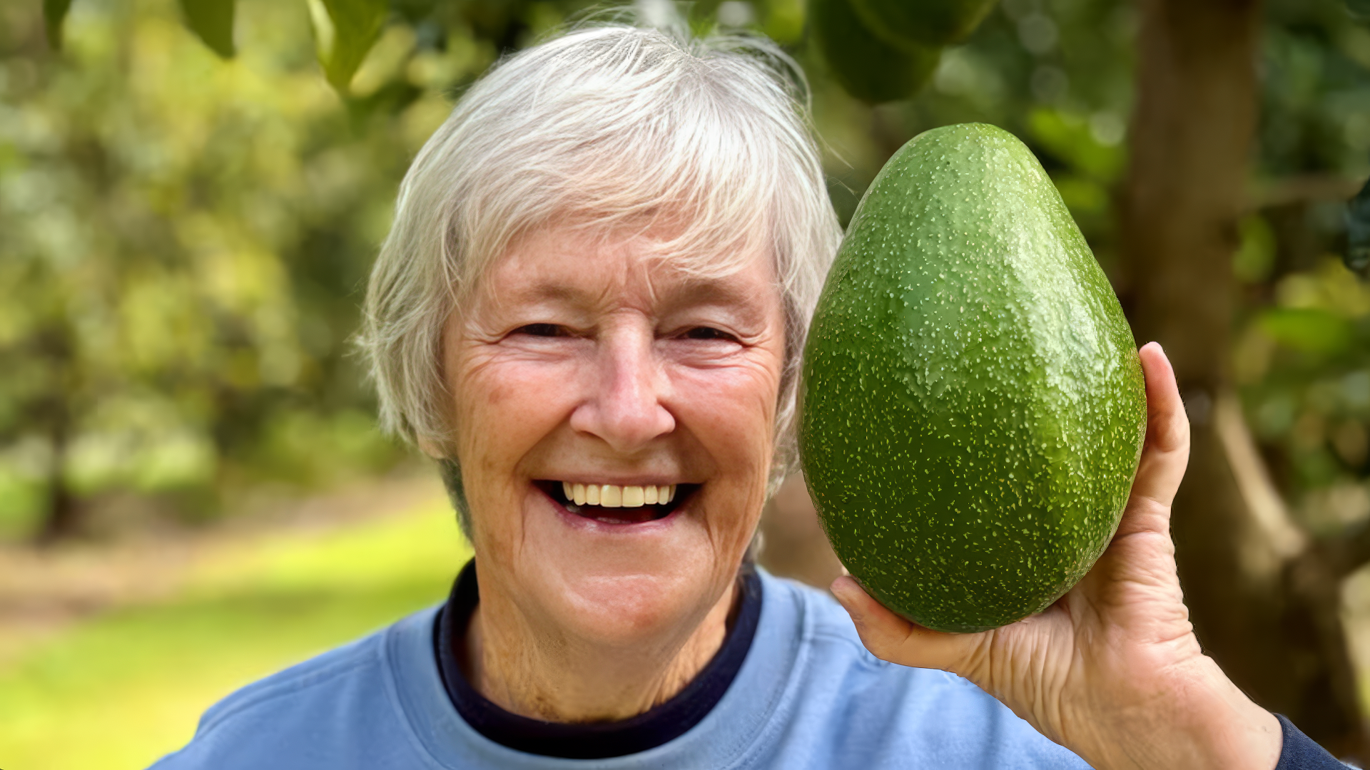 Fleming's QLD - Giant Avocado, JALA™