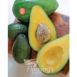 'Jala' Avocado