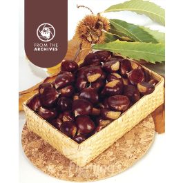 'Fleming's Special' Chestnut